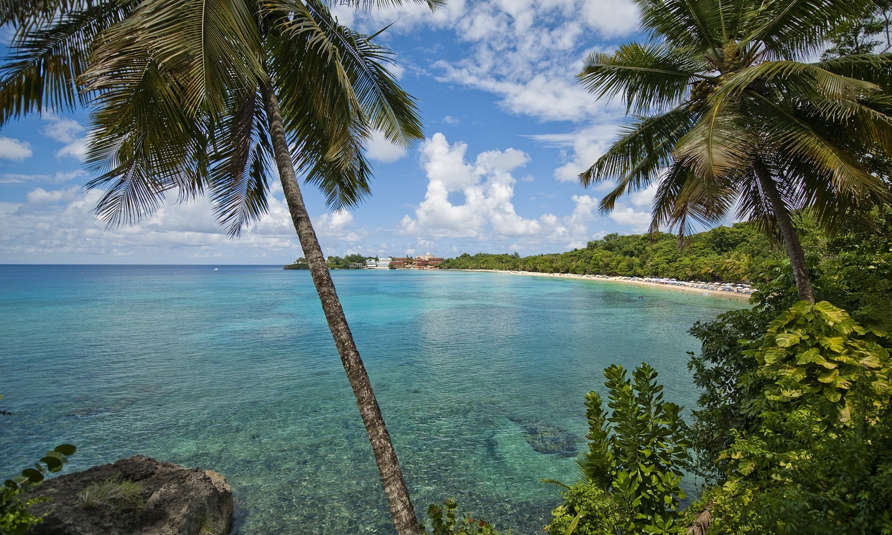 Learn Spanish in the Dominican Republic