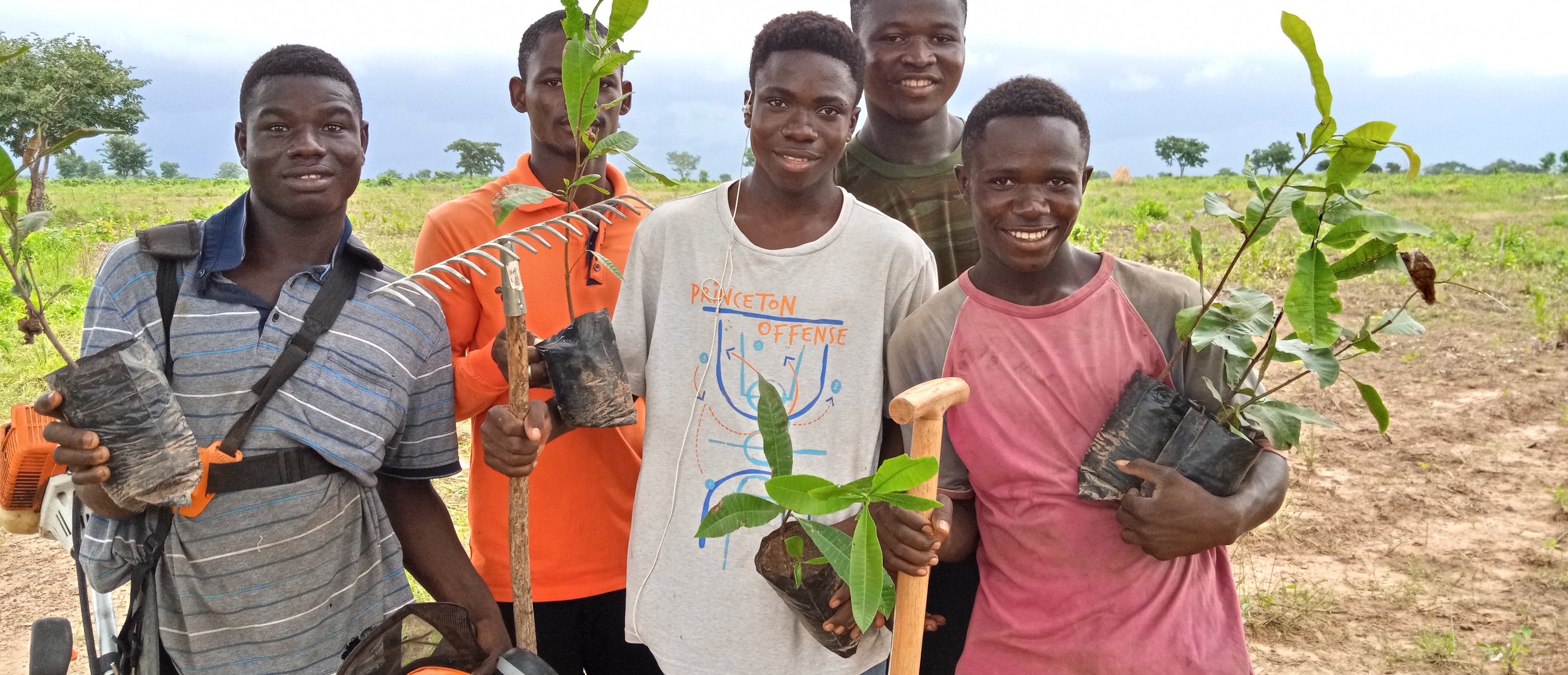 National Tree Day Dominican Republic | IIC Spanish School
