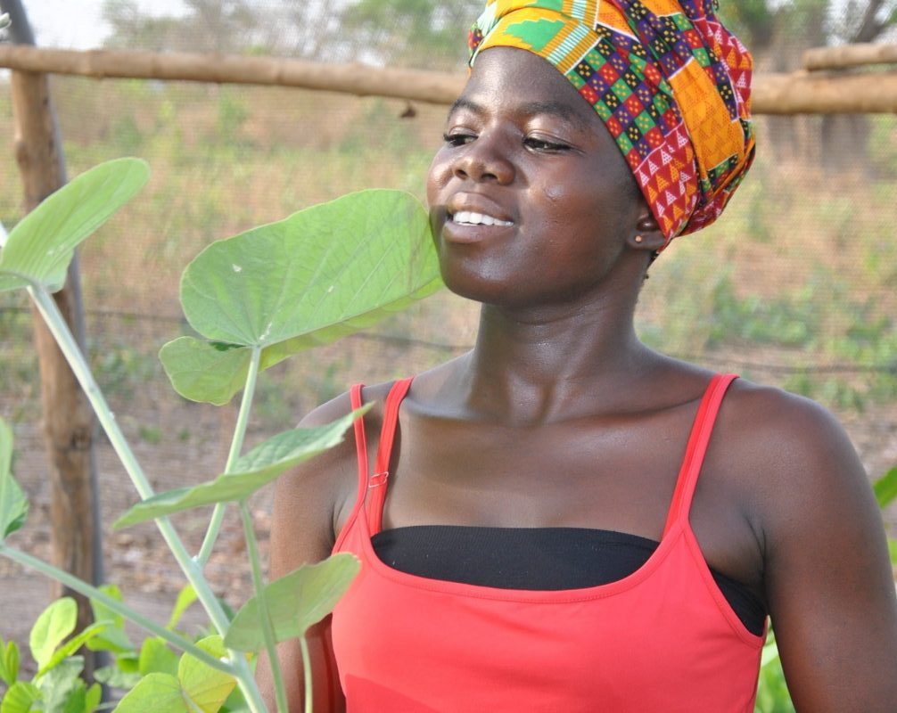 National Tree Day Dominican Republic | IIC Spanish School