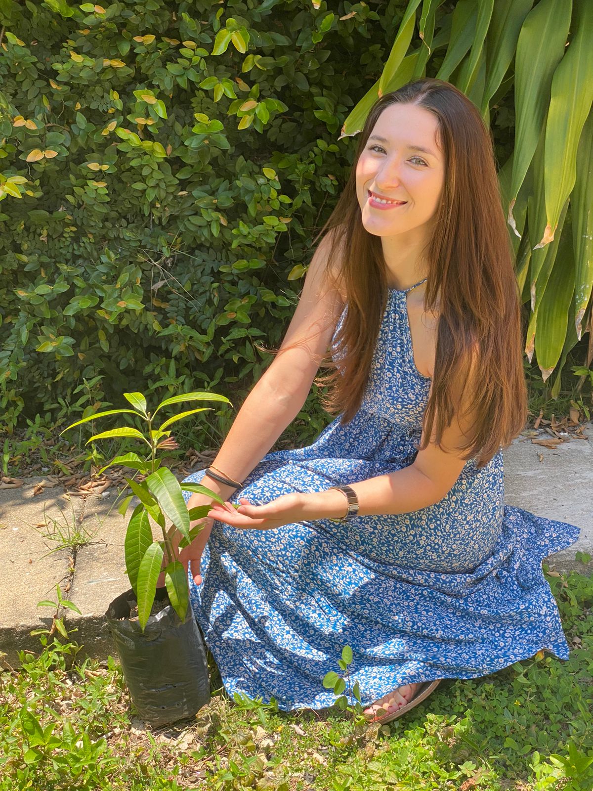 National Tree Day Dominican Republic | IIC Spanish School