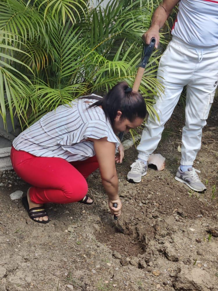 National Tree Day Dominican Republic | IIC Spanish School